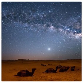 Obraz - Noc v poušti (30x30 cm)