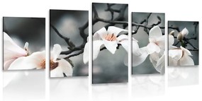 5-dílný obraz probouzející se magnolie Varianta: 200x100