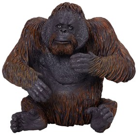 Mojo Orangutan