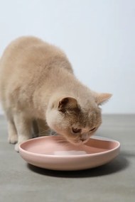 Hoopo Designová miska pro kočky Plate růžová