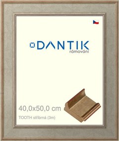 DANTIK rámeček 40x50 | TOOTH stříbrná (Plexi Čiré)
