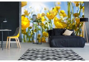 DIMEX | Samolepicí vliesová fototapeta na zeď Žluté květiny MA-5-0134 | 375 x 250 cm | zelená, modrá, žlutá