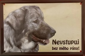 Plechová cedulka Nevstupuj bez mého pána Kavkazský ovčák