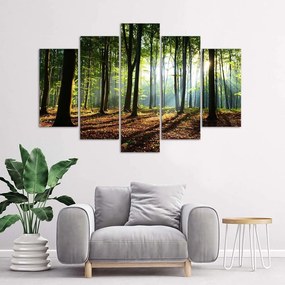 Gario Obraz na plátně Sluneční paprsky v lese - 5 dílný Rozměry: 100 x 70 cm