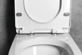 Aqualine Aqualine, VERMET WC sedátko, Soft Close, bílá, VRS008