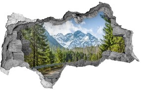 Wallmuralia Díra 3D ve zdi nálepka Cesta Tatry 95x73 cm