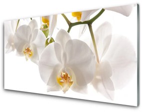 Plexisklo-obraz Orchidej Květiny Příroda 125x50 cm