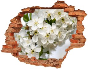 Wallmuralia Samolepící díra nálepka Květy višně 90x70 cm