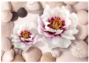 Fototapeta - Flowers and Shells