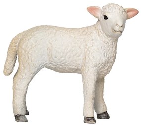 Mojo Jehňátko romney marsh stojící