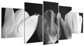 Černobílý obraz - tři tulipány
