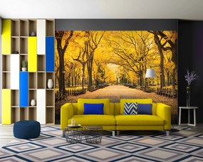 Malvis ® Tapeta podzimní park Vel. (šířka x výška): 216 x 140 cm