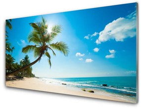 akrylový obraz Palma Strom Pláž Krajina 120x60 cm