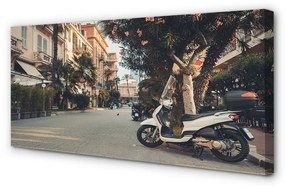 Obrazy na plátně městské Motocykly palmového léta 120x60 cm
