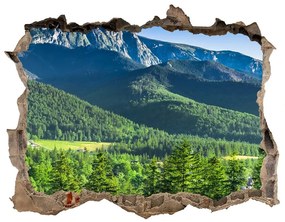 Wallmuralia Nálepka fototapeta 3D Skokanský můstek Tatry 95x64 cm