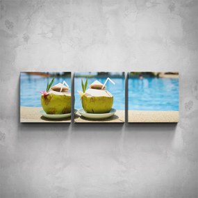 3-dílný obraz - Kokosový drink - PopyDesign