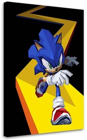 Gario Obraz na plátně Sonic - Nikita Abakumov Rozměry: 40 x 60 cm