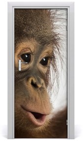 Samolepící fototapeta na dveře Mladý orangután 75x205 cm