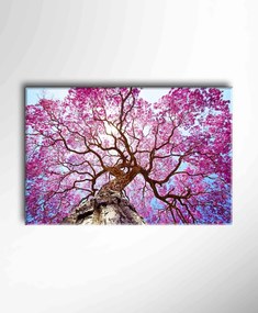 Malvis ® Obraz Rozkvetlý strom s růžovými květy ROZMĚR (šířka x výška): jednodílný obdélník 90x60 cm