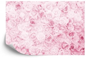 Fototapeta Vybledlé Květinové Vintage Růžové Samolepící tapety 270x180