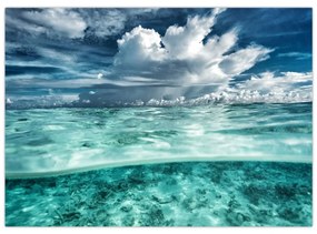 Obraz - Pohled pod mořskou hladinu (70x50 cm)