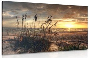 Obraz západ slunce na pláži - 120x80