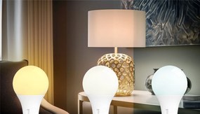 Toolight LED žárovka studená LED RSL027 E27 12W Neutral