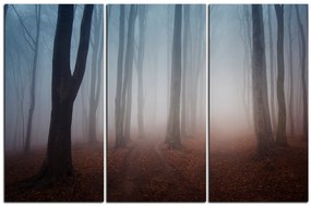Obraz na plátně - Mlha v lese 1182B (120x80 cm)