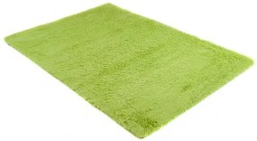 Koupelnový kobereček SILK ARTS-61 1PC zelený