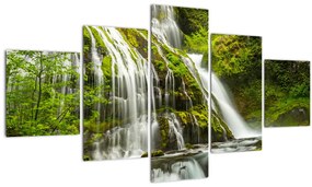Obraz - Vodopád, Wind River Valley (125x70 cm)