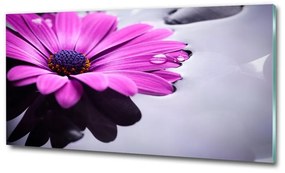 Wallmuralia Fotoobraz na skle Gerbera 100x50