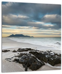 Obraz - Robben Island (30x30 cm)