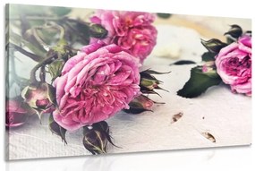 Obraz růže v rozkvětu - 90x60 cm