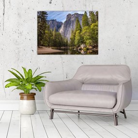 Skleněný obraz - Pod Yosemite skálou (70x50 cm)