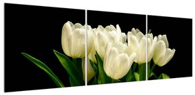 Obraz tulipánů  (150x50 cm)