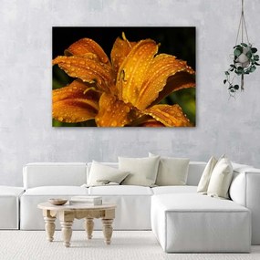 Obraz na plátně Lilie Květina Přírodní rostliny - 120x80 cm