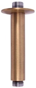 RAV Slezák - Sprchové rameno stropní, 15 cm, mosaz MD0311SM