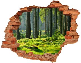 Wallmuralia Díra 3D ve zdi na stěnu Smrkový les 90x70 cm