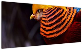 Obraz ptáka (100x40cm)