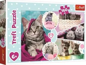 Trefl - Puzzle - Koťata / 160 dílků / 41 x 27.5 cm / věk 6+