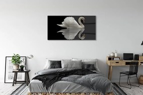 akrylový obraz Swan v noci 125x50 cm