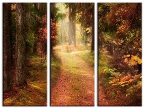 Obraz lesní pěšinka Velikost (šířka x výška): 90x70 cm
