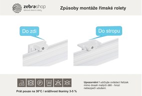 ZEBRA Shop ROLETA ŘÍMSKÁ VZOR / EF 01 Výška: 100, Šířka: 80, Strana ovládání: vpravo
