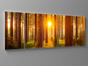 Liox Obraz rozbřesk v lese Rozměr: 100 x 40 cm