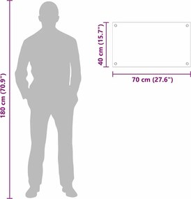 vidaXL Kuchyňský obklad Transparentní 70 x 40 cm tvrzené sklo [42018020]