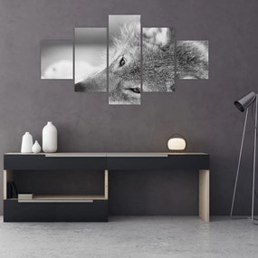 Obraz - Vlk, černobílá (125x70 cm)