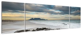 Obraz - Robben Island (170x50 cm)