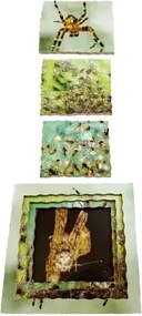 Just Jigsaws 645 Pavouk a jeho životní cyklus - dřevěné vrstvené puzzl