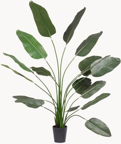 Exteriérová umělá rostlina Strelitzia