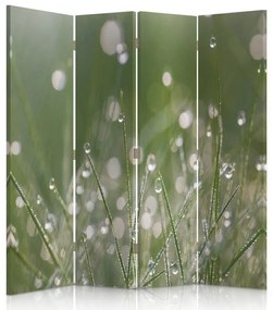Ozdobný paraván, Kapky rosy na trávě - 145x170 cm, čtyřdílný, obustranný paraván 360°